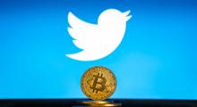 A semana no CriptoTwitter: CryptoPhunks vs Bored Apes; Bukele defende sua Cidade do Bitcoin