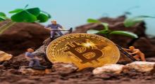 Mineração do Bitcoin está mais descentralizada do que nunca, mostra estudo