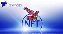 카르다노 블록체인 레이븐덱스(Ravendex), 단독 RAVE NFT 컬렉션 출시
