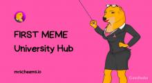 Mrs Cheems Cryptocurrency Launches the FIRST MEME University Hub