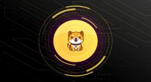Corretora Huobi lista Baby Dogecoin (Babydoge) e criptomoeda meme sobe mais de 20%