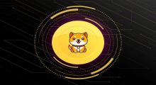 Baby Doge dispara 30% após listagem em exchange de criptomoedas