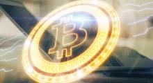 ビットコイン還元アプリ、米大手ペットショップが導入|国際的な「犬の日」祝う