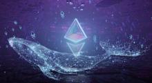 Balinalar Bu Küçük Altcoin’leri ve NFT’leri Avlıyor!