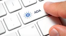 カルダノ、120億円規模の新ファンド「ADA Yield Fund」が誕生