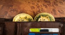 CEO von Robinhood: DOGE kann zur „Währung des Internets“ werden