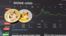 Dogecoin (DOGE) pode se tornar a principal criptomoeda da Internet, afirma CEO da Robinhood