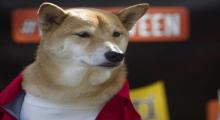 Dogecoin Tarih Yazdı: İlk DOGE İşlemi Gerçekleşti!