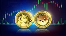 Meme Coins: as criptomoedas meme são bons investimentos?