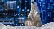 Prepare-se para os piores meses das criptomoedas, diz fundador do CoinGecko