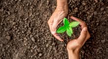 Fundador do WeWork lança criptomoeda para negociar créditos de carbono