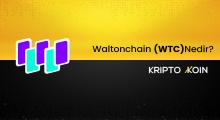 Waltonchain Nedir? WTC Ne İşe Yarar?
