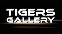 阪神タイガース公式NFTサービス「Tigers Gallery」、Palette(パレット)チェーン採用へ