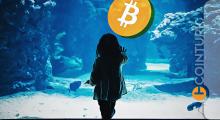 Ton Vays’ten Korkutan Tablo: Bitcoin’de Düşüş Derinleşecek Mi?