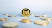 Shiba Inu (SHIB) Geliştirici Ekibi Tanıttı: Yeni Stablecoin