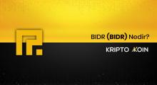 BIDR Nedir? BIDR Coin Ne İşe Yarar?