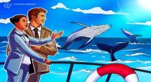 5 criptomoedas de baixa capitalização mais cobiçadas pelas maiores baleias da Ethereum