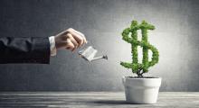 Ralliyi Unutun! Staking Çılgınlığı: Analist Stake İçin En İdeal 5 Altcoin’i Paylaştı