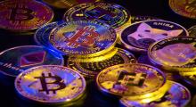 SHIB ve Bu 12 Altcoin İçin Müjde: Yeni Borsalara Giriyorlar!