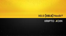 XELS nedir? XELS Coin Ne İşe Yarar?