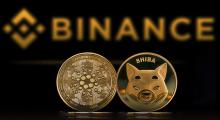 Binance SHIB, Cardano ve Bu Altcoin’ler İçin Müjdeyi Verdi!