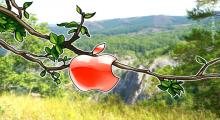 Nuevo malware para MacOS de hackers norcoreanos se esconde detrás de una falsa criptoempresa