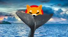 AXS, XRP, SHIB ve Bu 5 Altcoin İçin Son Dakika Gelişmeleri!