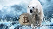 Bitcoin ve Altcoin Kışı Çetin: İşte 5 Hayatta Kalma İpucu!