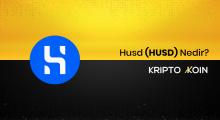 Husd nedir? HUSD Coin Ne İşe Yarar?