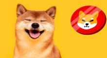 Shiba Inu Sürpriz Haberi Duyurdu: Tarihde Açıklandı!