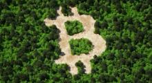 Kripto Paralar ve İklim Krizi: Çevreci Coinler Çözüm Olabilir Mi?