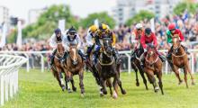Plataforma lança NFTs de cavalos de corrida