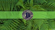 Bitcoin übertrifft 17.000 $, da die Krypto-Marktkapitalisierung 900 Milliarden $ ins Visier nimmt (Market Watch)