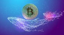 Bitcoin balinaları satış yapmaya devam ederken, fiyat hâlâ baskı altında!