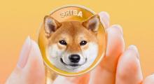 Sıradaki Shiba Inu Coin Hangisi?