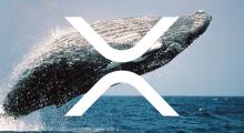 XRP balinalarından büyük satışlar geliyor! Fiyat, kritik seviyelerin üzerinde tutunabilecek mi?