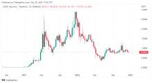 Bu 6 Altcoin Ayı Piyasasında Sizi Zengin Edebilir!