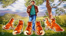 Blockchain do SHIB poderá ser lançada no início de 2023, sugere desenvolvedor do projeto