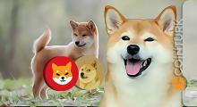 Tüm SHIB ve DOGE Tahminlerini Bir Kenara Bırakın! Tecrübeli Analist İddialı: 2023’te Hazır Olun!
