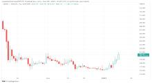 Vitalik Buterin’in Annesi Altcoin Çıkardı: Fiyatı Fırladı!