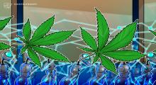 Un productor de cannabis californiano adopta blockchain para rastrear su hierba