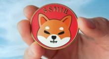 Shiba Inu: Memecoin mit 15 Prozent Kursplus heutiger Tagessieger
