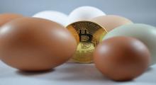 Preço do ovo dispara e vira meme entre investidores de Bitcoin