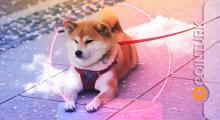 Gerçek Dünyaya Hoş Geldin Shiba Inu! Bu Proje Kripto Paralara Yeni Bir Boyut Getirecek!