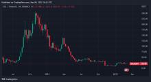 2023’te Hangi Altcoin Alınır? Ünlü Şirketten Tahmin!