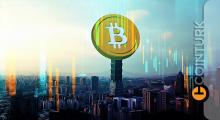 Delilik! Bitcoin Fiyat Bahsi! Siyah Kuğu Yazarı ve Binance CZ Dahil 3 Uzman!