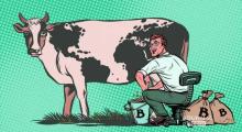 Miner du bitcoin grâce à de l’herbe et à des vaches ? La méthanisation au service des paysans