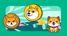 SHIB, DOGE, FLOKI, ELON: Şimdi Neler Beklenmeli?