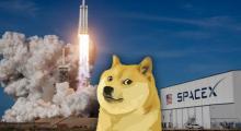 Dogecoin Elon Musk Haberiyle Sert Düştü!