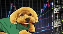 リスクと希望の狭間で揺れるビットコイン~3万ドル台が限界か?~【仮想通貨相場】